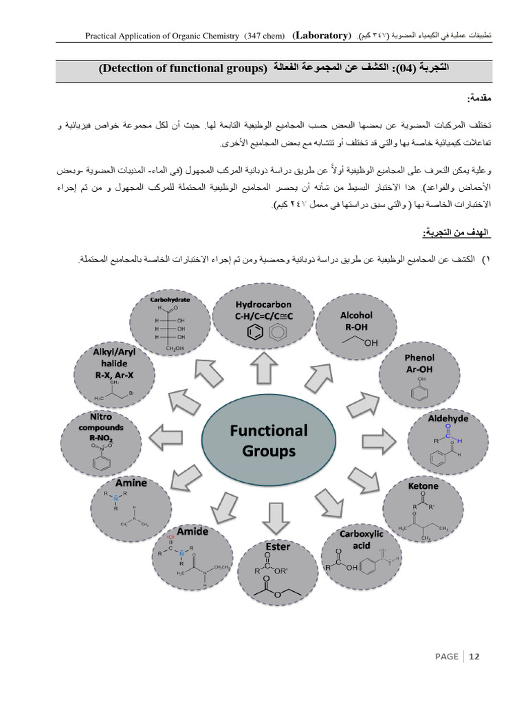 Exp.04 Detection of Functional Groups 0 0 0 | PDF