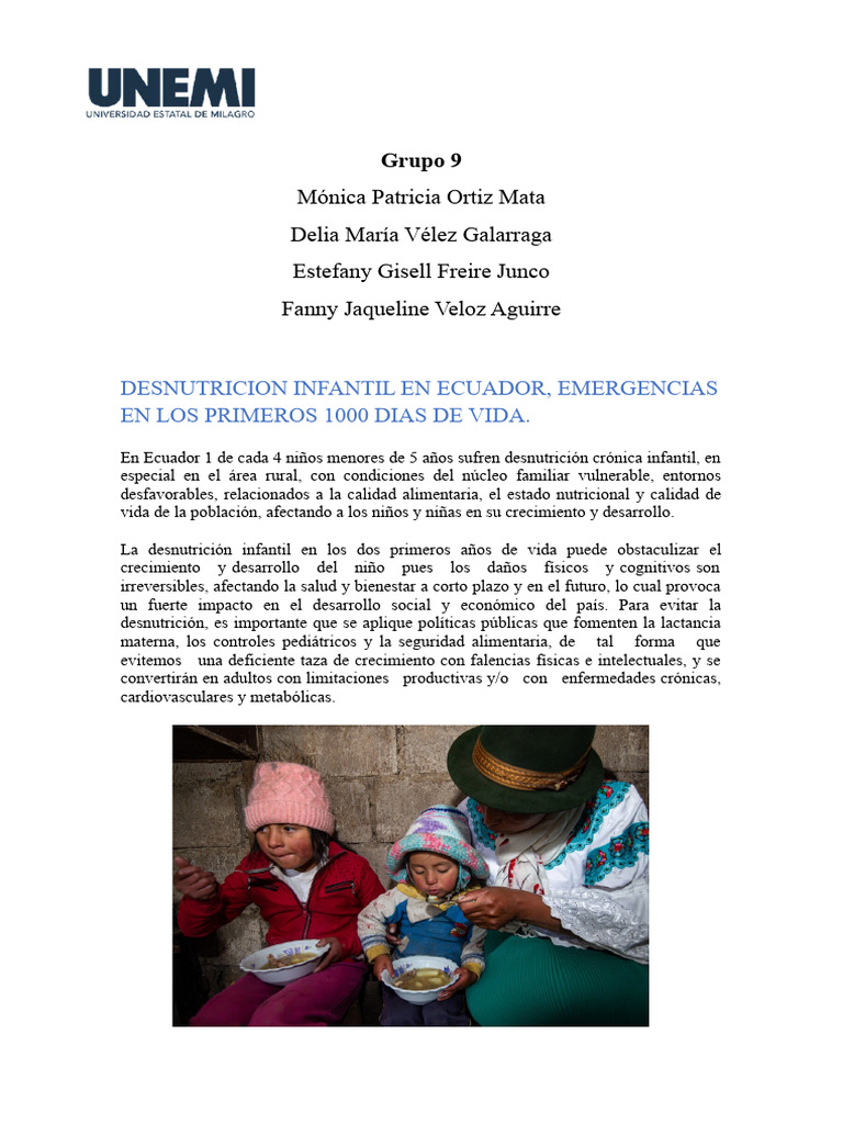 Desnutricion Infantil En Ecuador Pdf El Embarazo Desnutrición