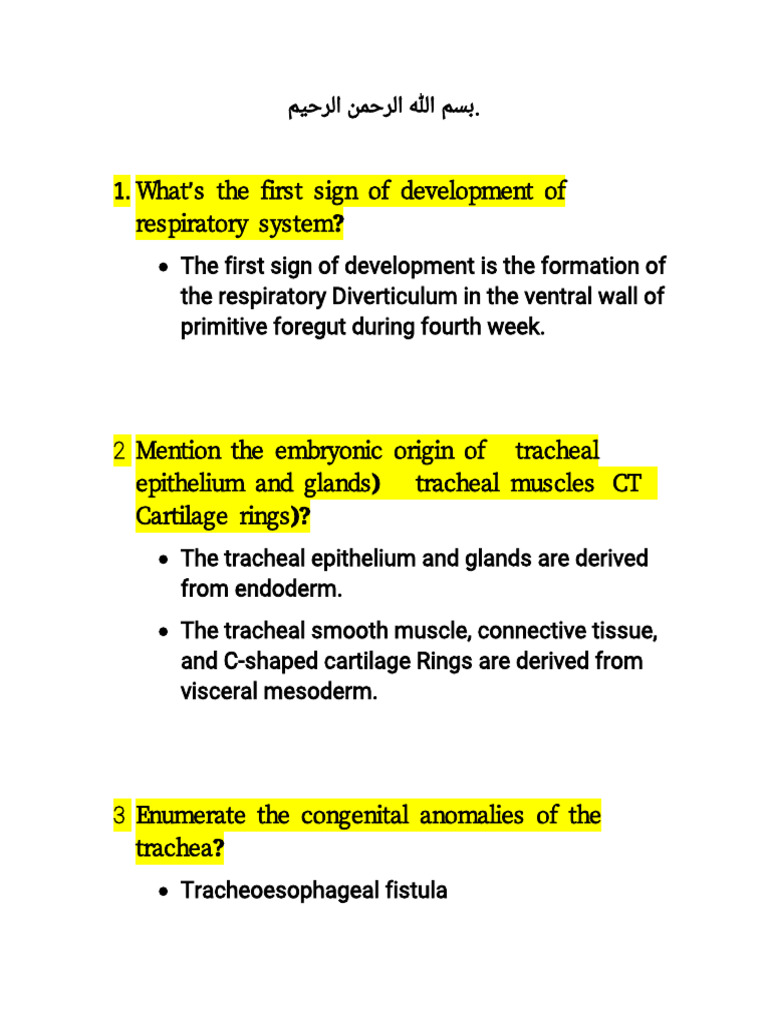 Embryo Respiratory System | PDF | Respiratory System | Respiration