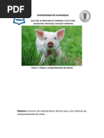 11 Tipos de Incisiones para Una Cesarea | PDF | Parto | El embarazo
