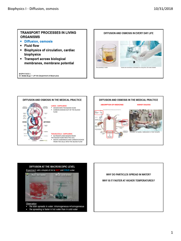 Diffusion Osmosis - 2018 | PDF | Osmosis | Diffusion