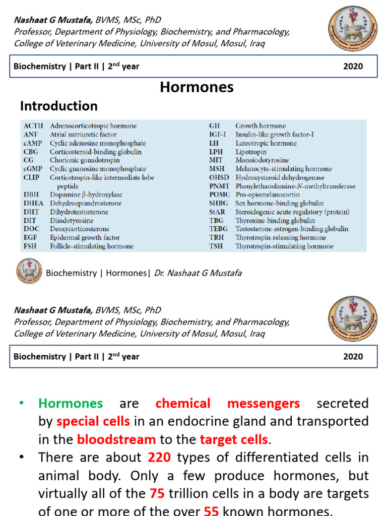 Good Hormone | PDF | Hormone | Endocrine System