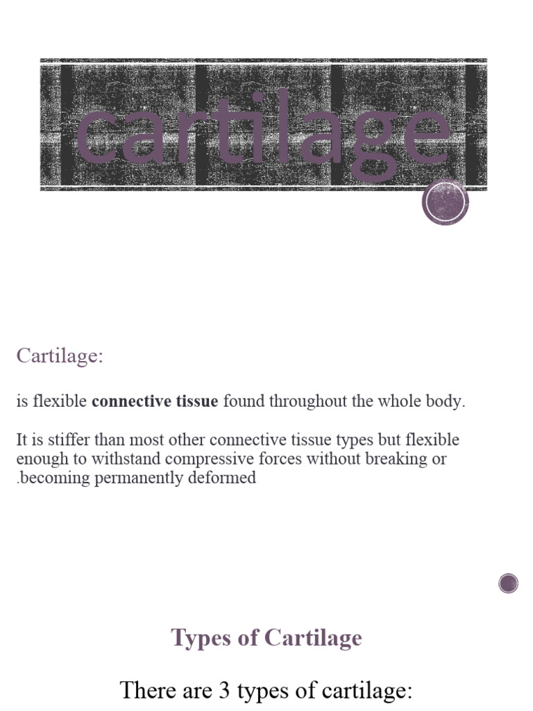 Cartilage | PDF | Cartilage | Extracellular Matrix