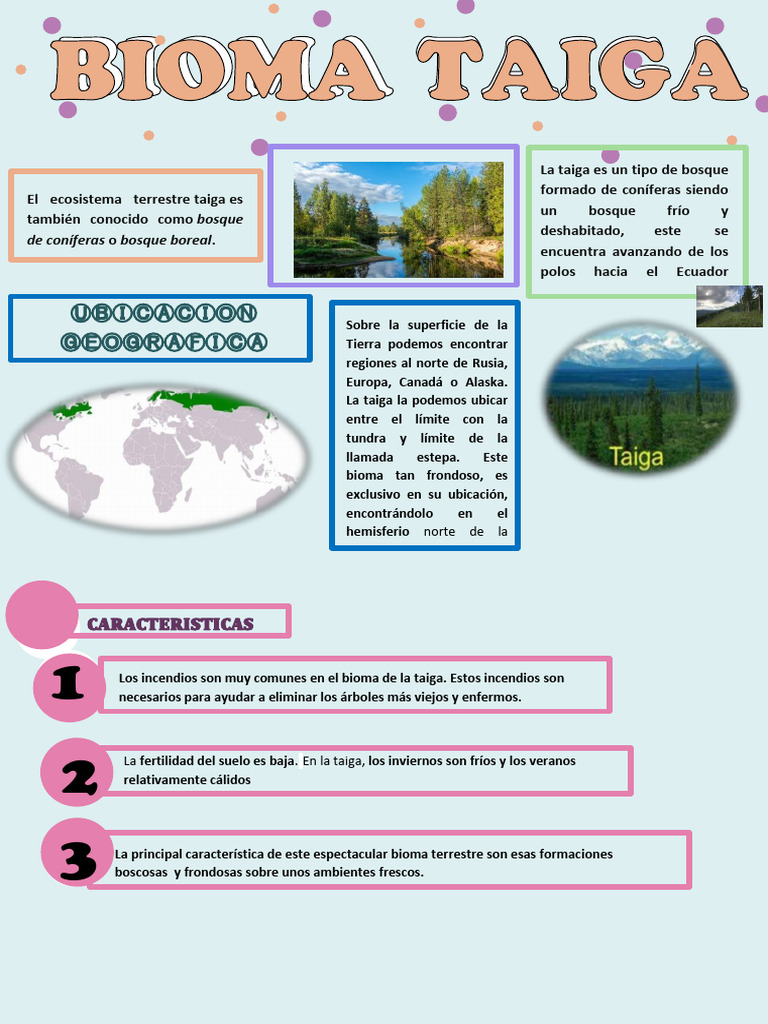 Características del Bioma Taiga | PDF | Biogeografia | Ecorregiones