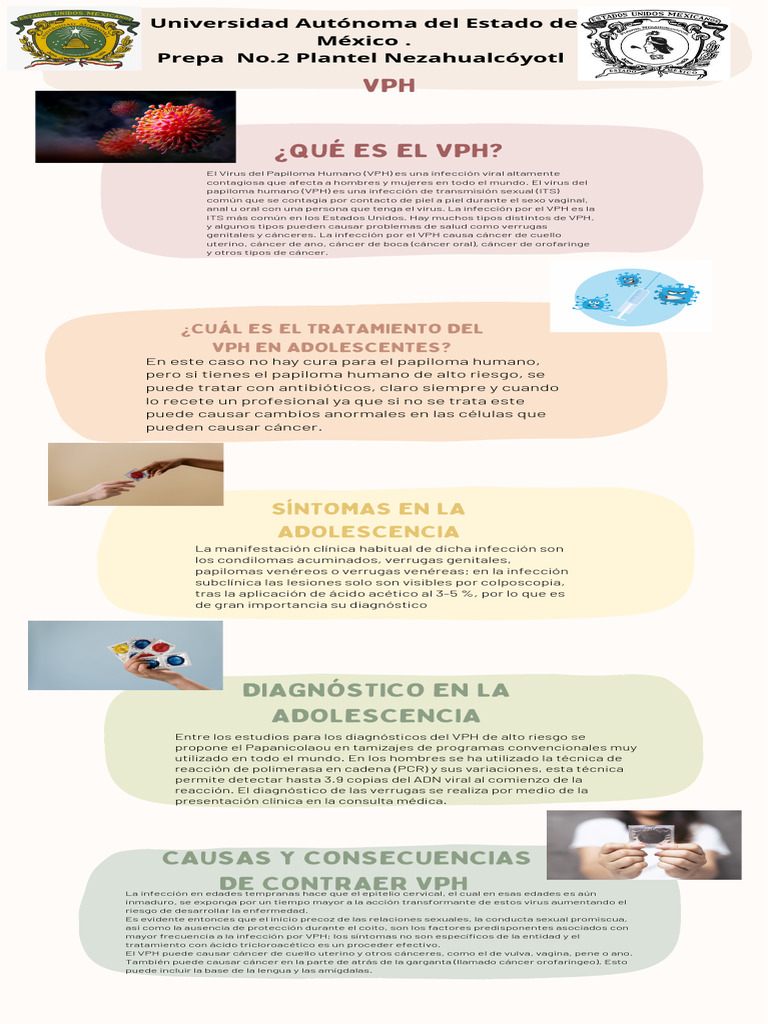 infografía VPH | PDF | Especialidades Medicas | Enfermedades y trastornos