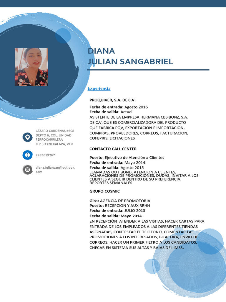 CV DJS 2021 | Descargar gratis PDF | Business | Informática