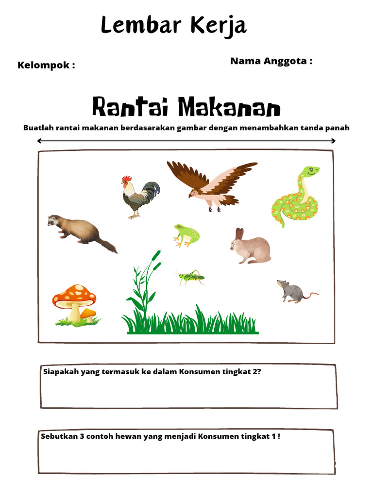 Brown Food Chain Worksheet | PDF