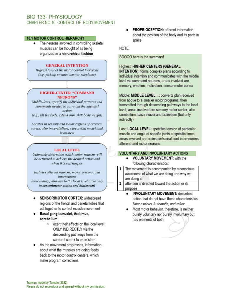 CHAPTER 10 - CONTROL OF BODY MOVEMENT (Akdemics) | PDF | Motor Neuron ...