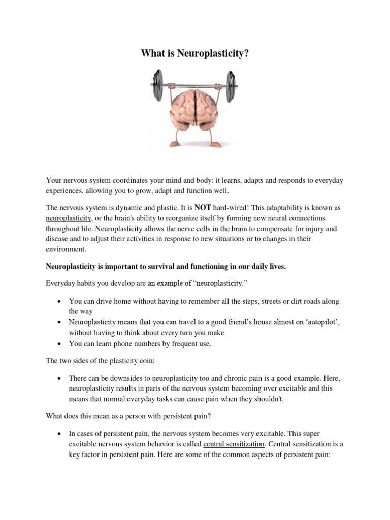 Intro To Neuroplasticity | PDF | Neuroplasticity | Pain