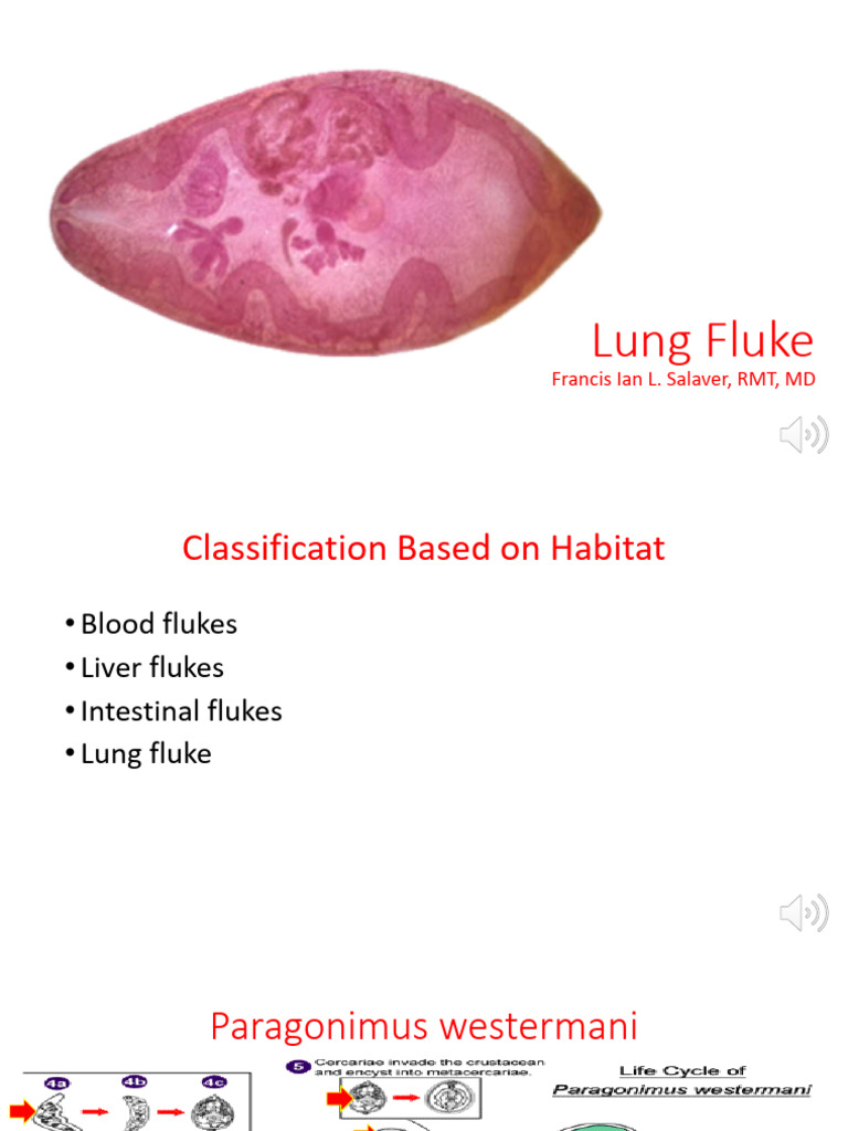 Lung Fluke | PDF | Microbiology | Epidemiology