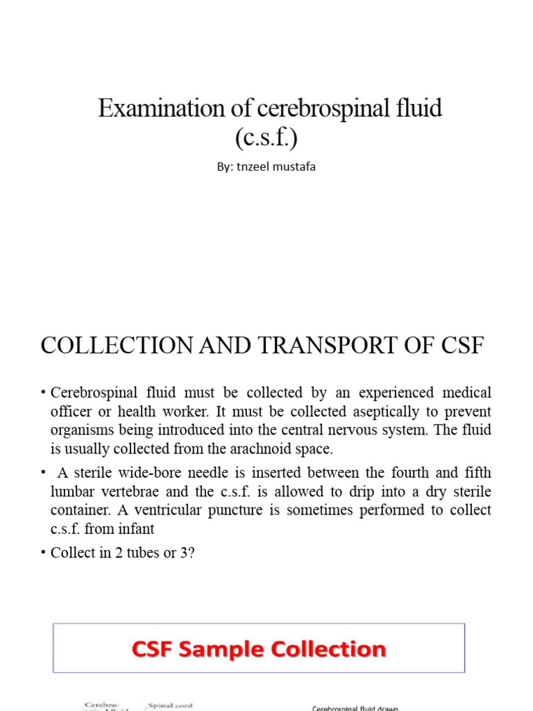 Examination of Cerebrospinal Fluid (C | PDF | Cerebrospinal Fluid | Meningitis