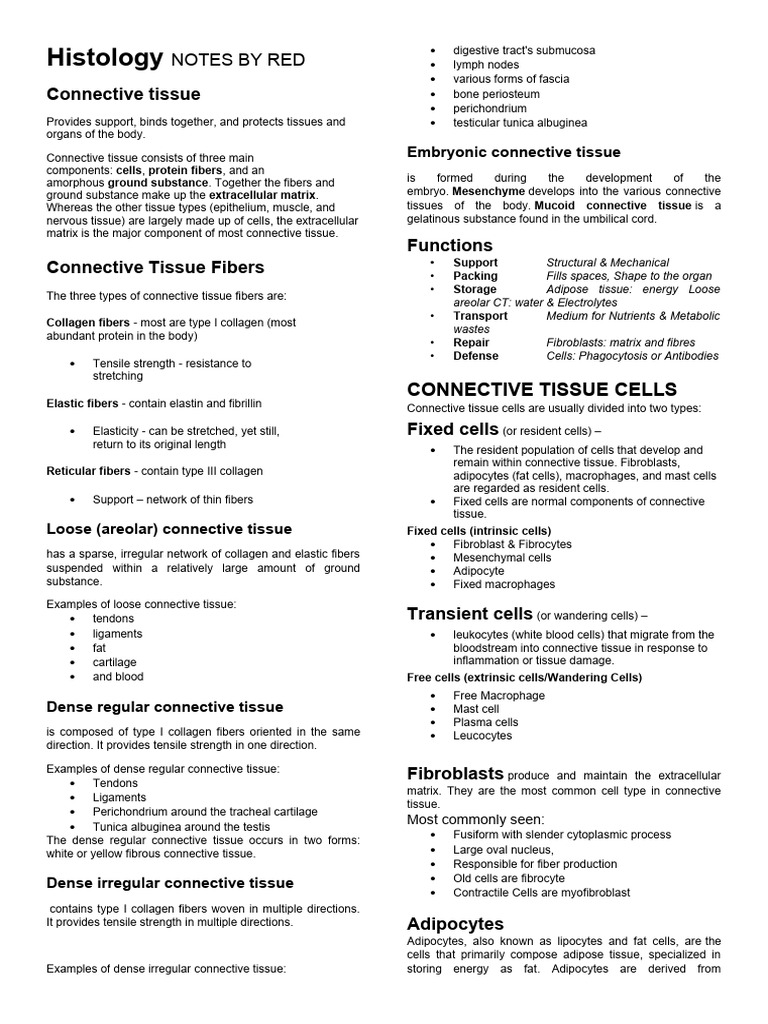 HISTOLOGY NOTES by Red (Connective) | PDF | Connective Tissue | Tissue ...