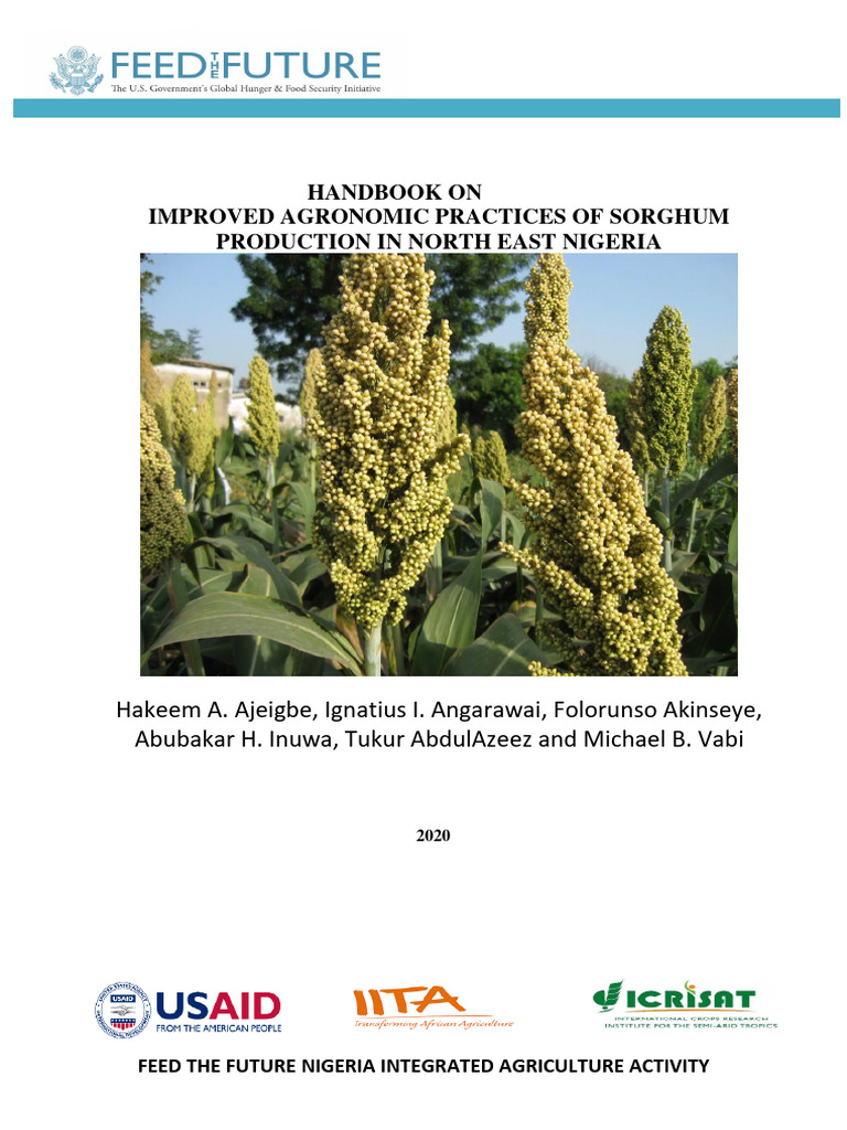 Handbook On Sorghum Production | PDF | Sowing | Fertilizer