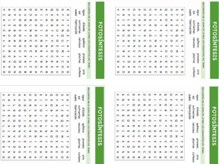 SOPA DE LETRAS FOTOSÍNTESIS | PDF