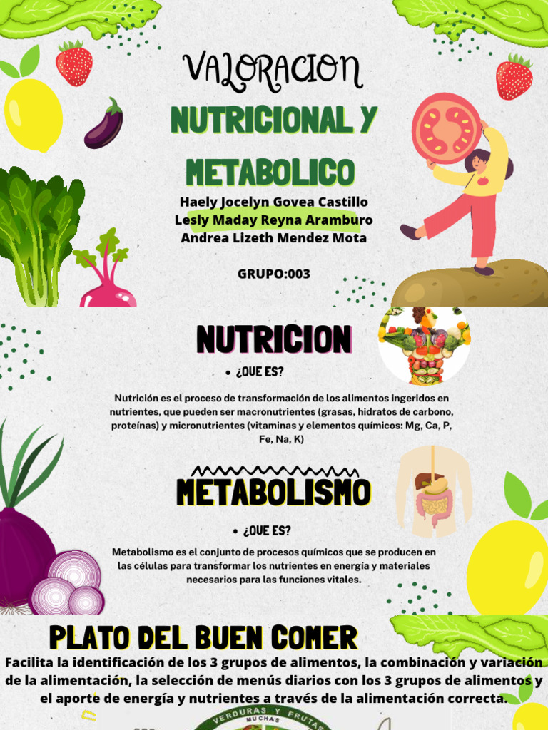 Nutricion y Metabolismo | PDF | Alimentos | Nutrición