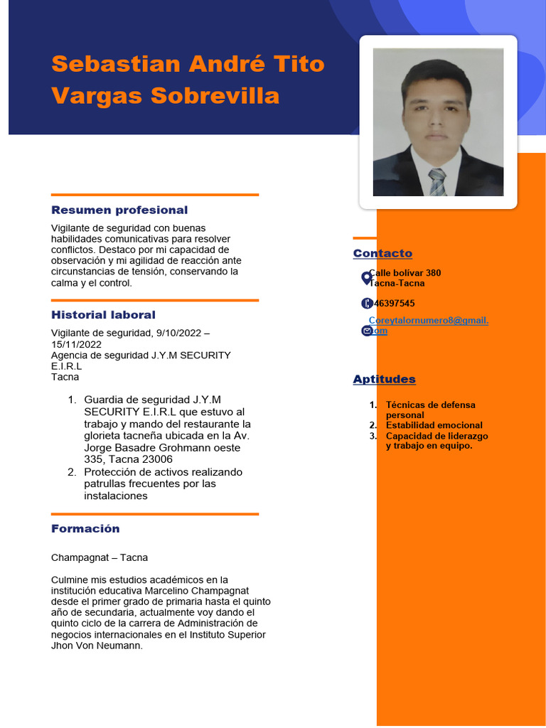 CV Sebastian Vargas | PDF