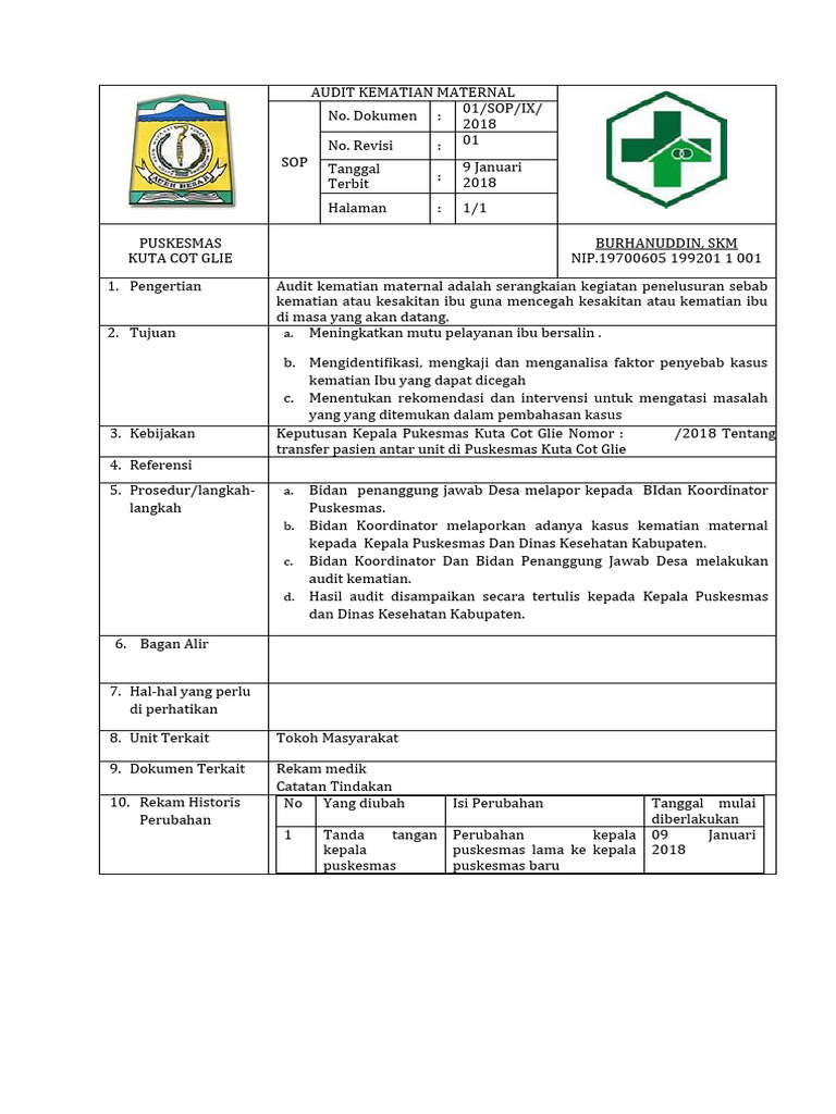 Audit Kematian Maternal | PDF