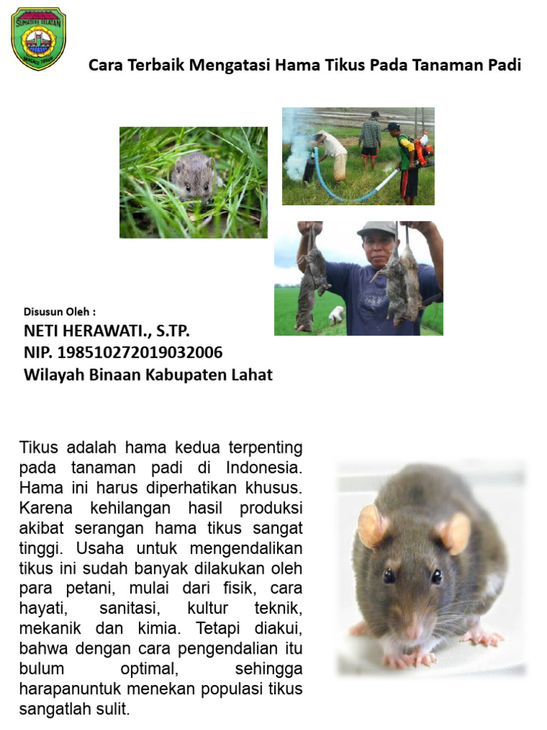 Pengendalian Hama Tikus | PDF
