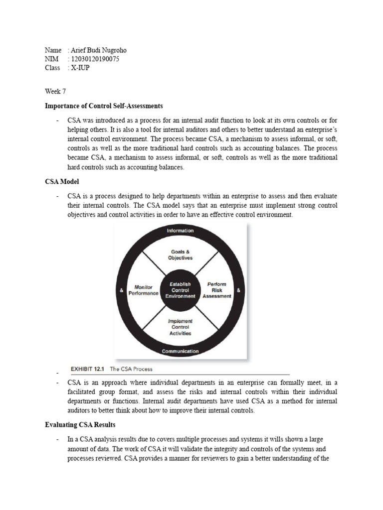 Control Self-Assessments in Internal Audit | PDF | Internal Audit | Audit