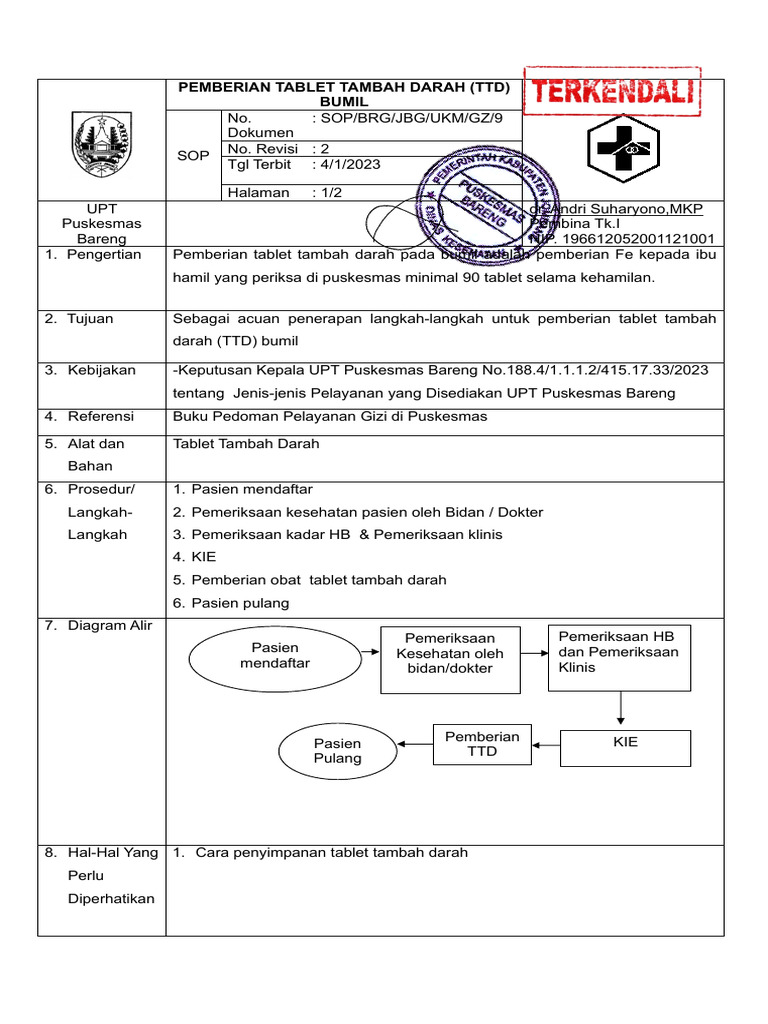 Sop Pemberian TTD Pada Bumil | PDF