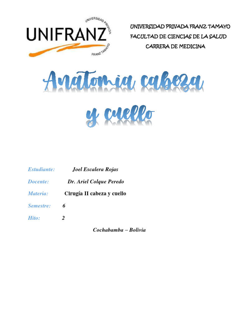 Anatomia Cabeza Y Cuello Pdf