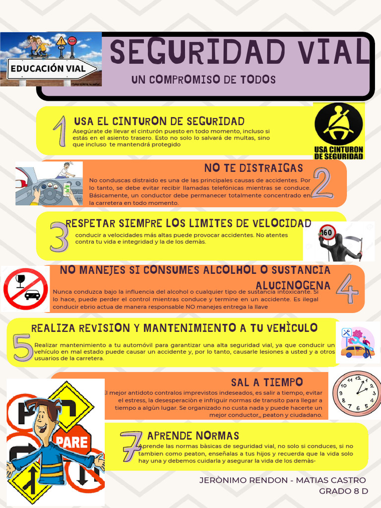 Educacion Vial | PDF | Seguridad vial | Peatonal