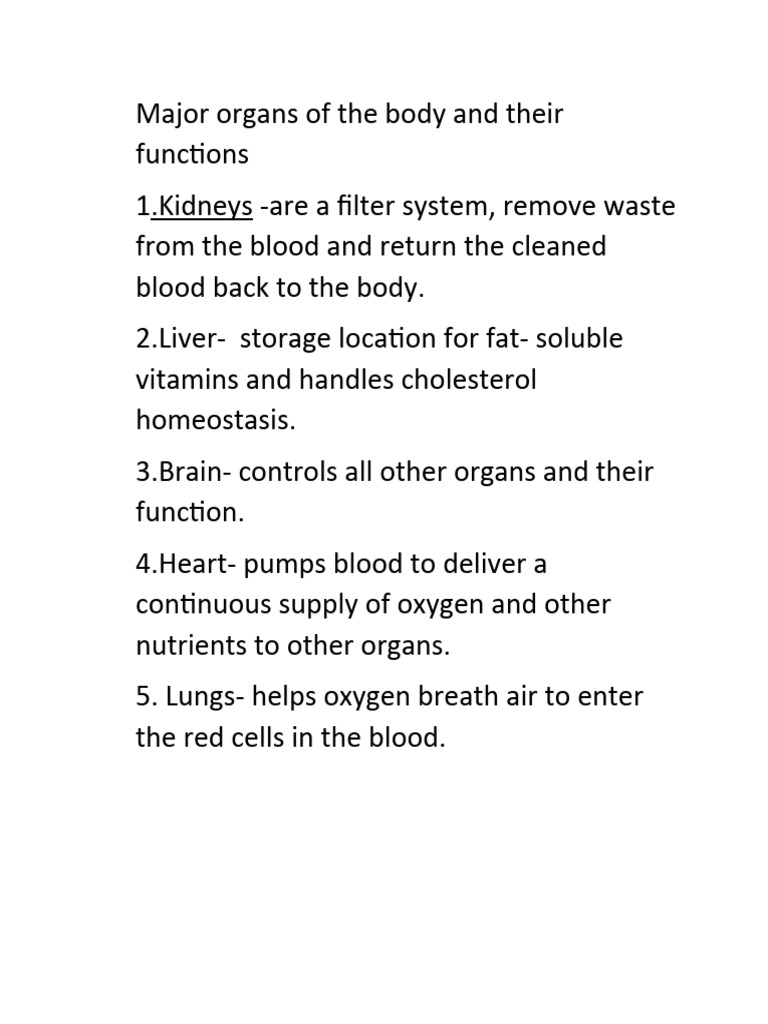 Major Organs of The Body and Their Functions | PDF