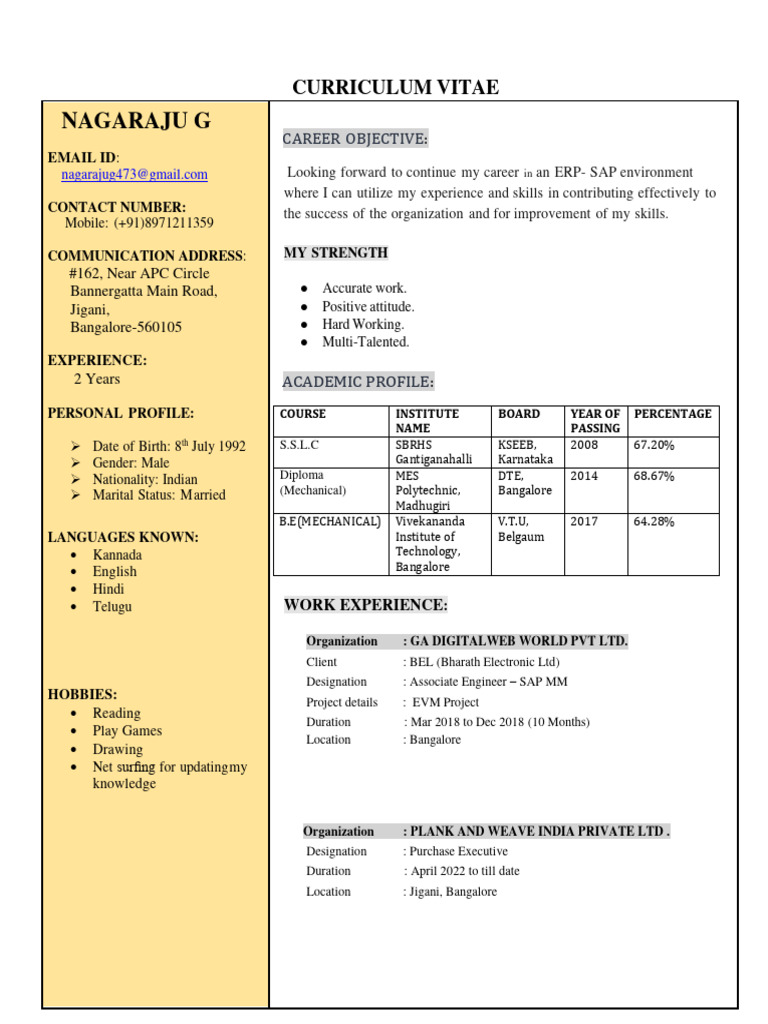 CV - Nagaraj 8 | PDF