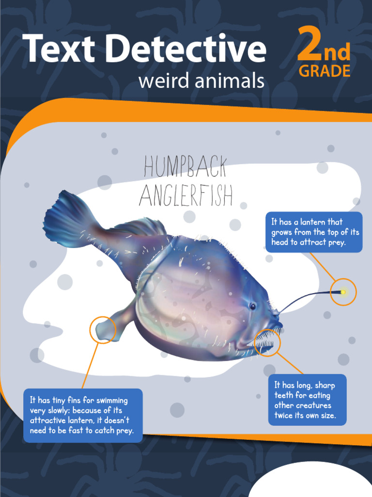 Text Detective Weird Animals Workbook | PDF | Whales | Organisms