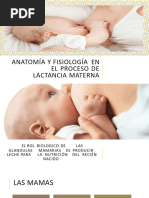 Estructura y función de los miocitos | PDF | Músculo | Biología Celular