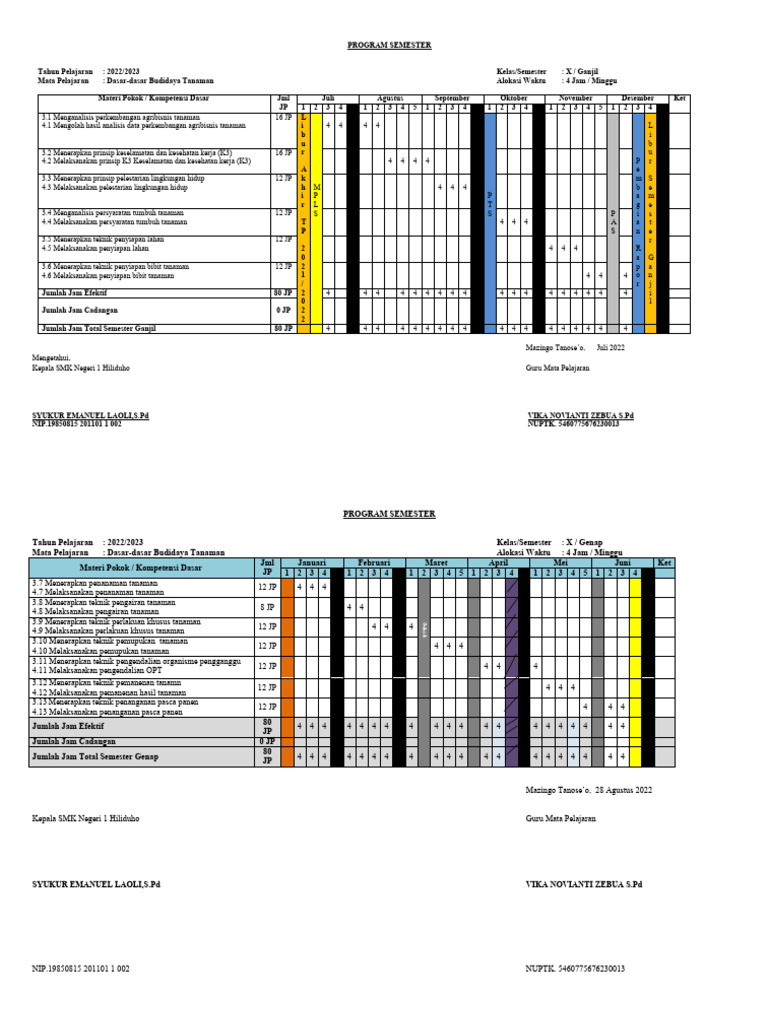PROGRAM SEMESTER Kls X VIKA | PDF