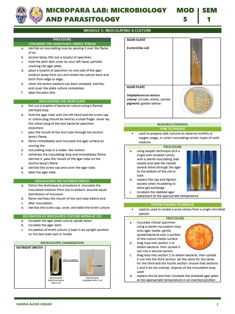 MicroPara LAB M5 | PDF | Microbiology | Microscopy