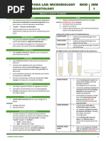 Quantiswab Environmental Swab Brochure | PDF