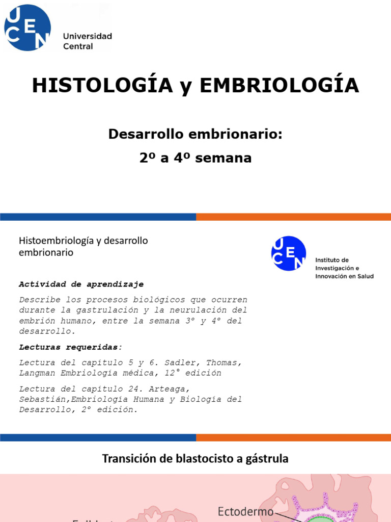 Gastrulación y Neurulación: Semanas 2-4 | PDF | Embrión | Reproducción