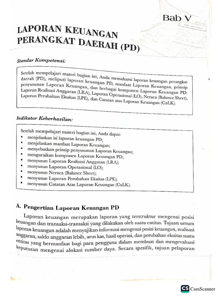 BAB V Laporan Keuangan Pemerintah Daerah PD (OCR) | PDF