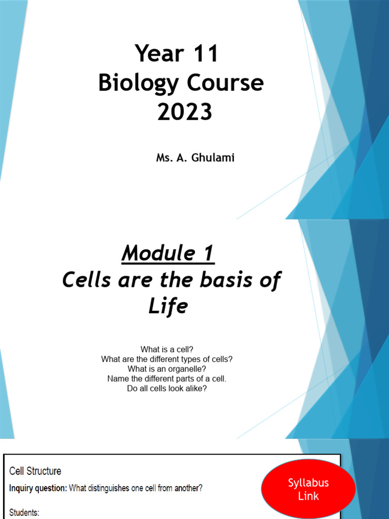 Year 11 Biology Module 1 2023 Notes | PDF | Cellular Respiration | Cell ...