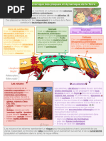 Anatomie des anses grêles et mésentère | PDF | Péritoine | Spécialités ...