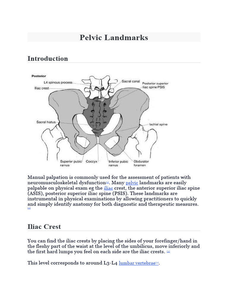 Pelvic Landmarks 112 | Download Free PDF | Pelvis | Human Anatomy