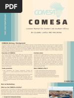 COMESA Objectives and Achievements | PDF | Infrastructure | Regional ...