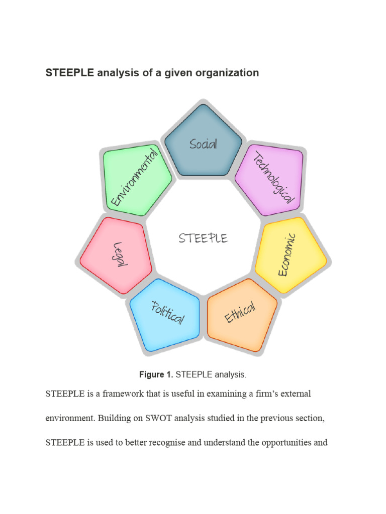 STEEPLE Analysis of A Given Organization | PDF