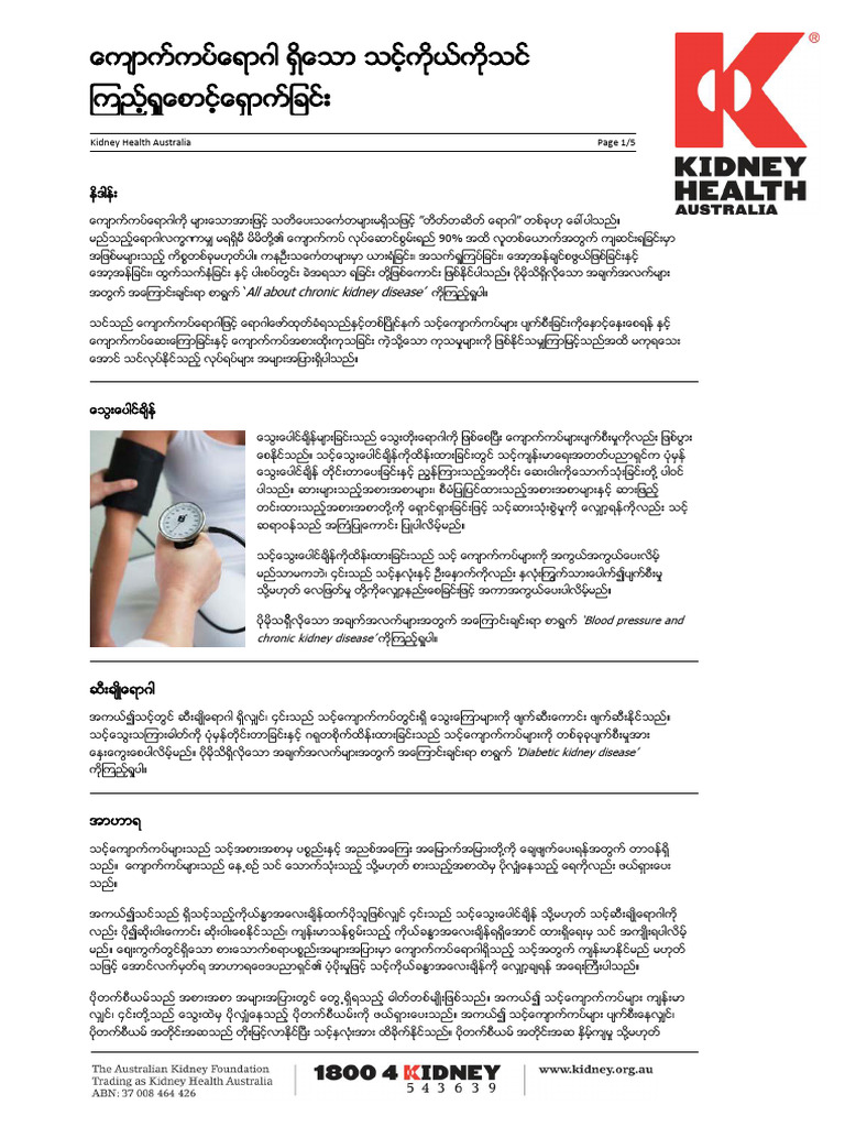 Looking After Yourself With CKD Fact Sheet Burmese | PDF