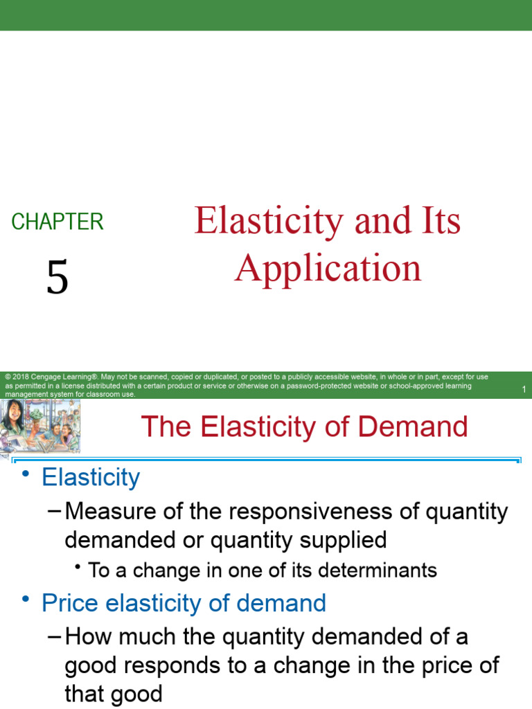 CH 5 Elasticity and Its Application | PDF | Demand | Price Elasticity ...