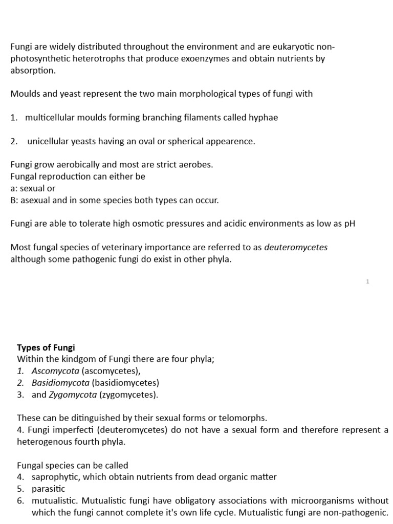 Fungi Introduction | PDF | Fungus | Spore