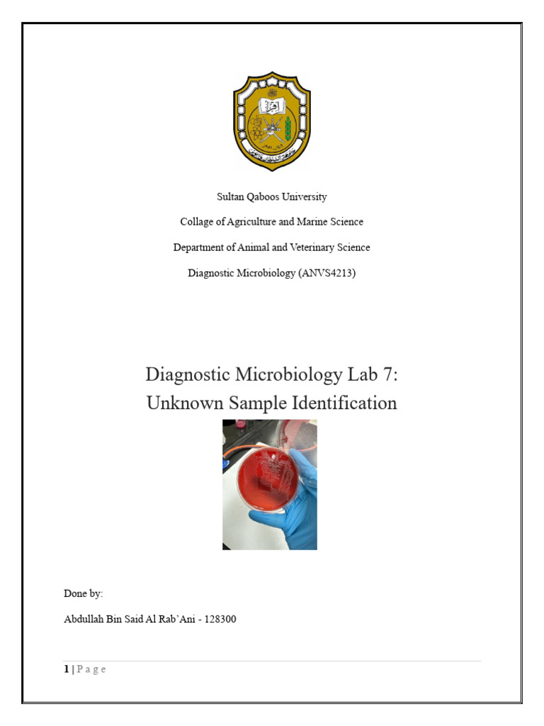 Dia. Microbiology Lab 7 | PDF | Bacteria | Gram Positive Bacteria