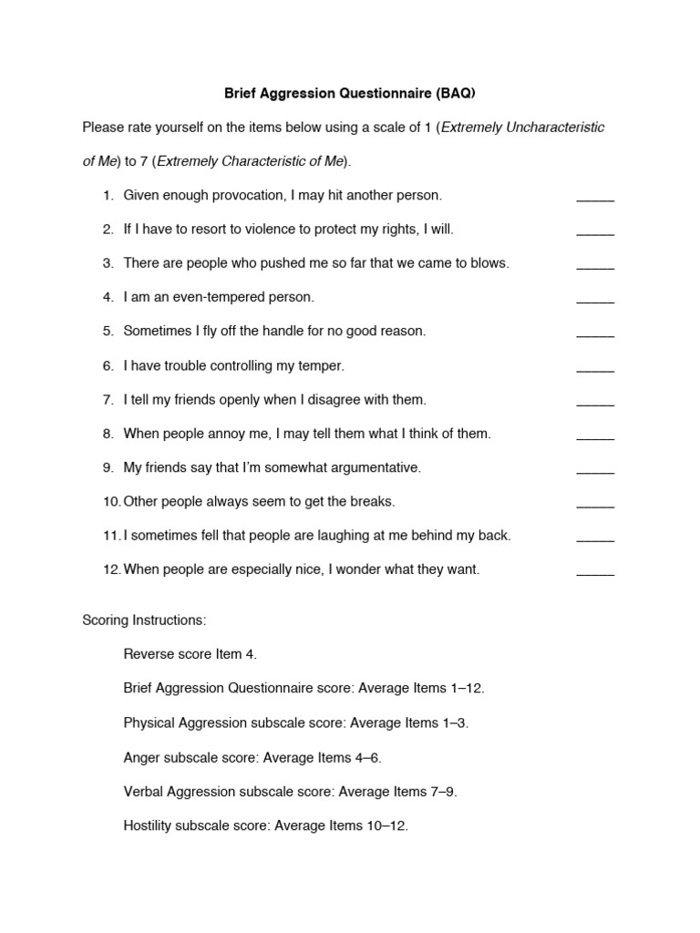 Brief Aggression Questionnaire Items | PDF