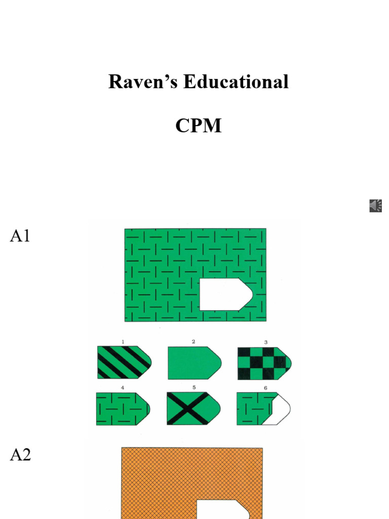 Raven's Educational CPM-CVS | PDF