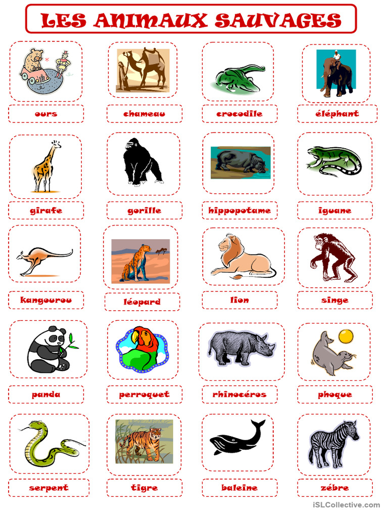 Liste des animaux sauvages en français | PDF