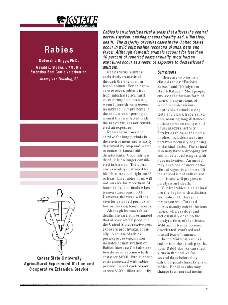 Rabies More Info | PDF | Rabies | Animals And Humans