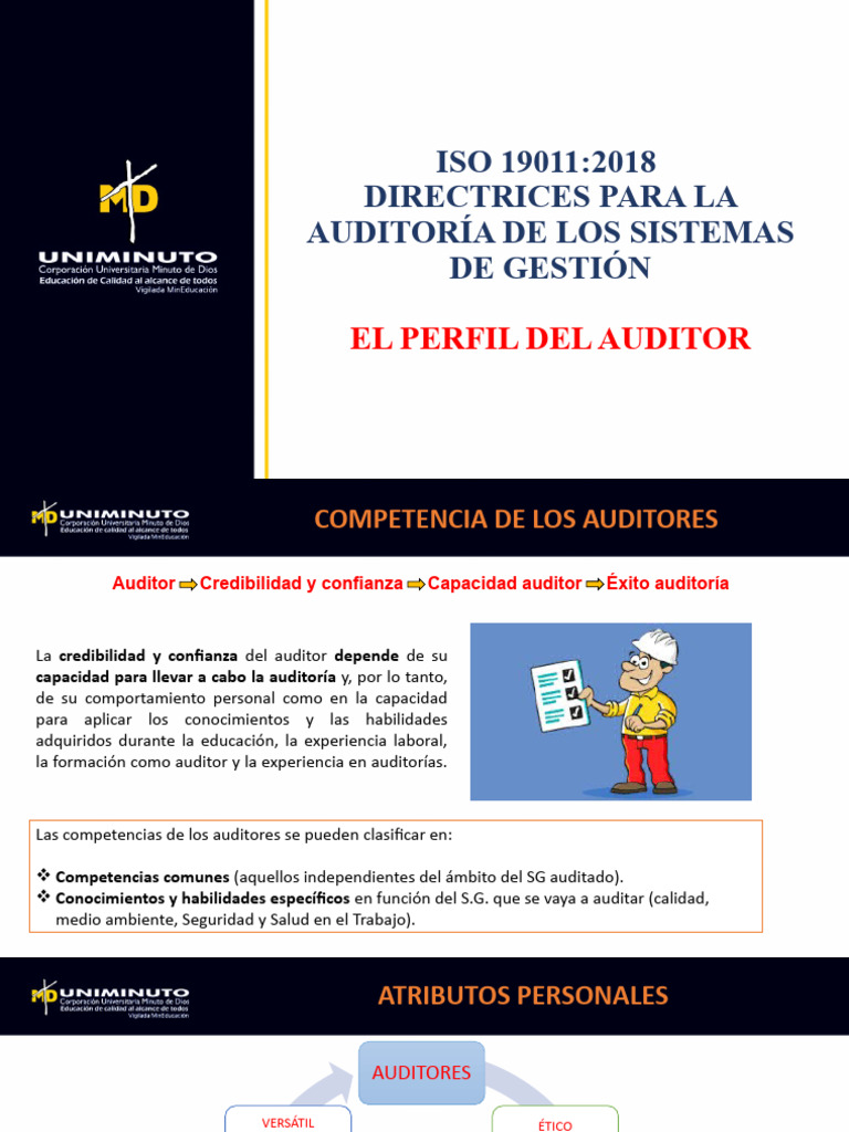 Funciones y Habilidades Del Auditor | PDF | Auditoría | Contralor