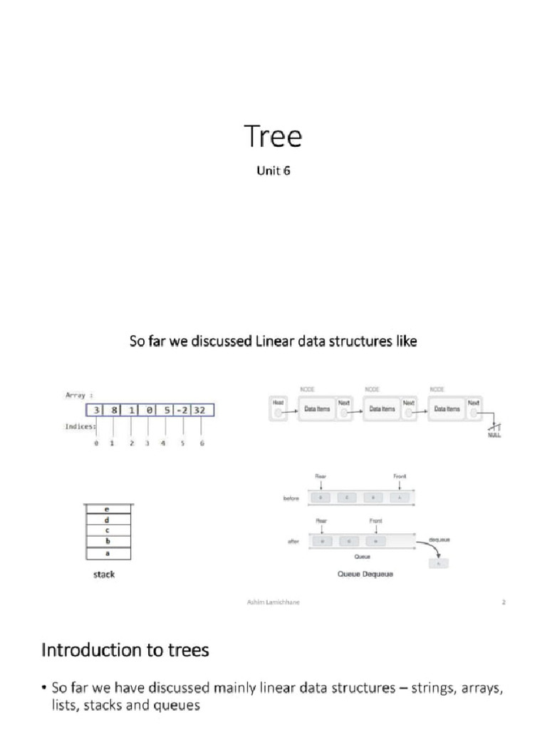 Trees | PDF
